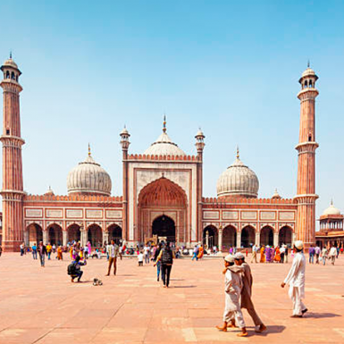 Sumérgete en la historia de Delhi, India: monumentos como el Fuerte ...